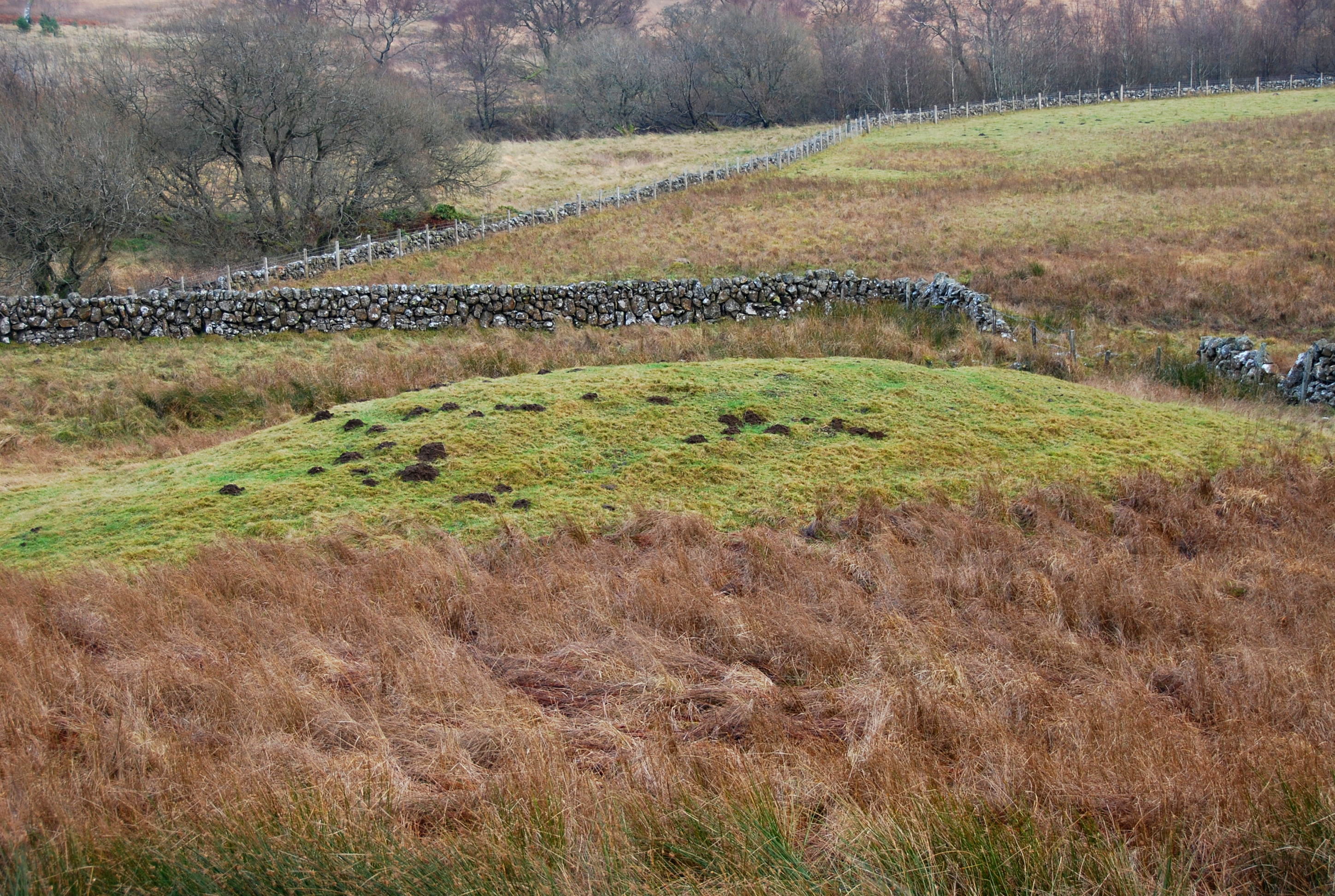 WITCH KNOWE, WITCH POOL – NEW CUMNOCK HISTORY