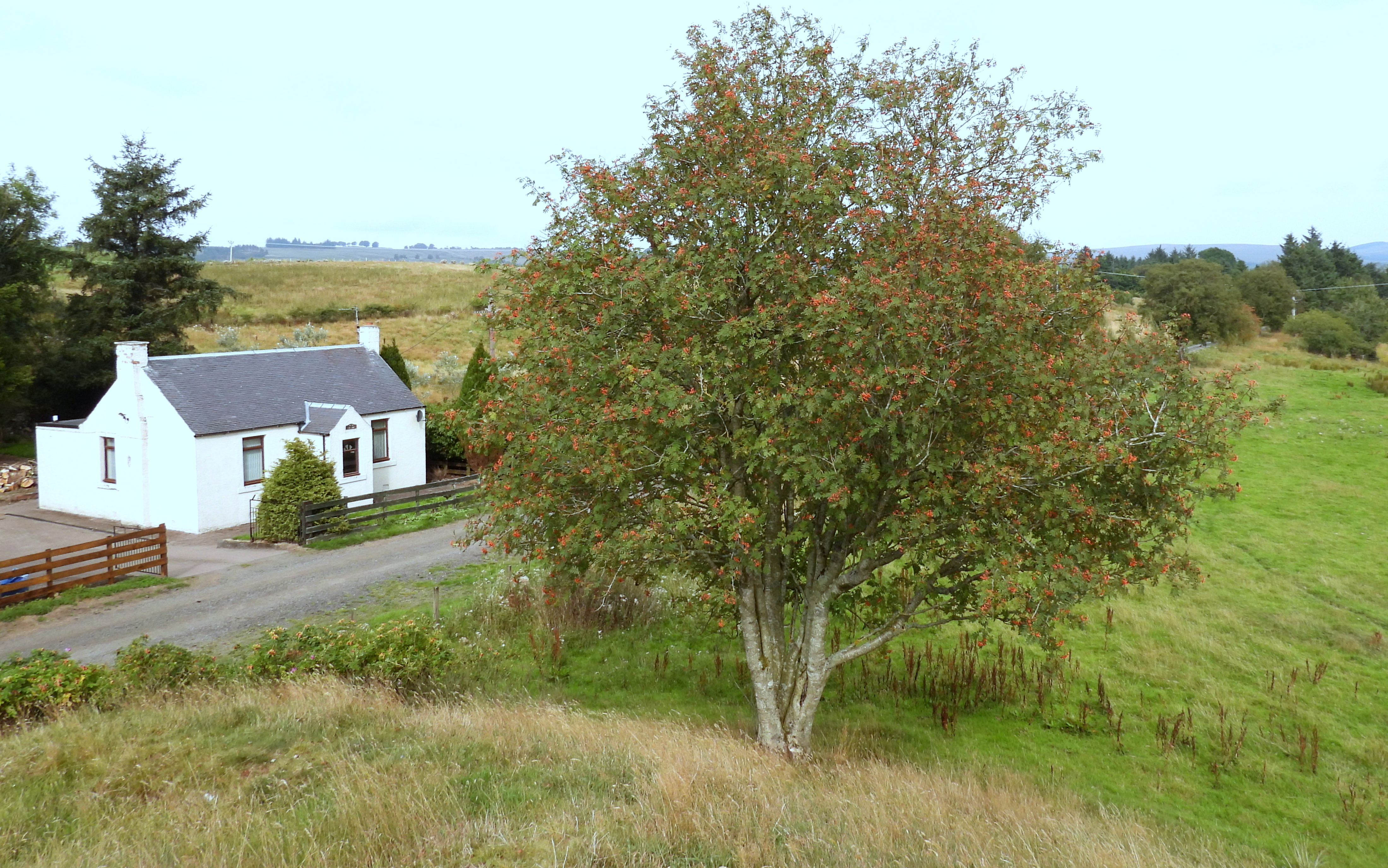 mote_cottage_01 – NEW CUMNOCK HISTORY