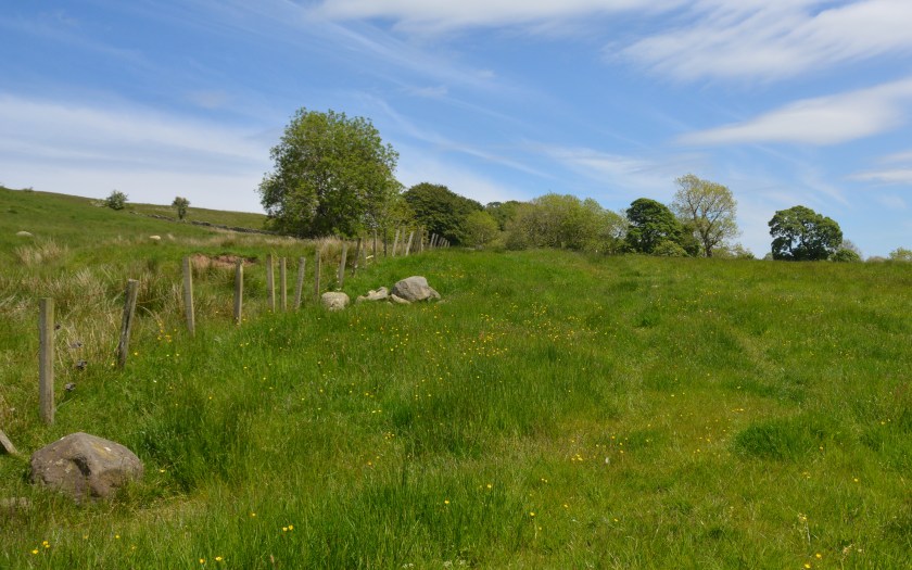 NETHERTOWN, NETHERTOWN BURN – NEW CUMNOCK HISTORY