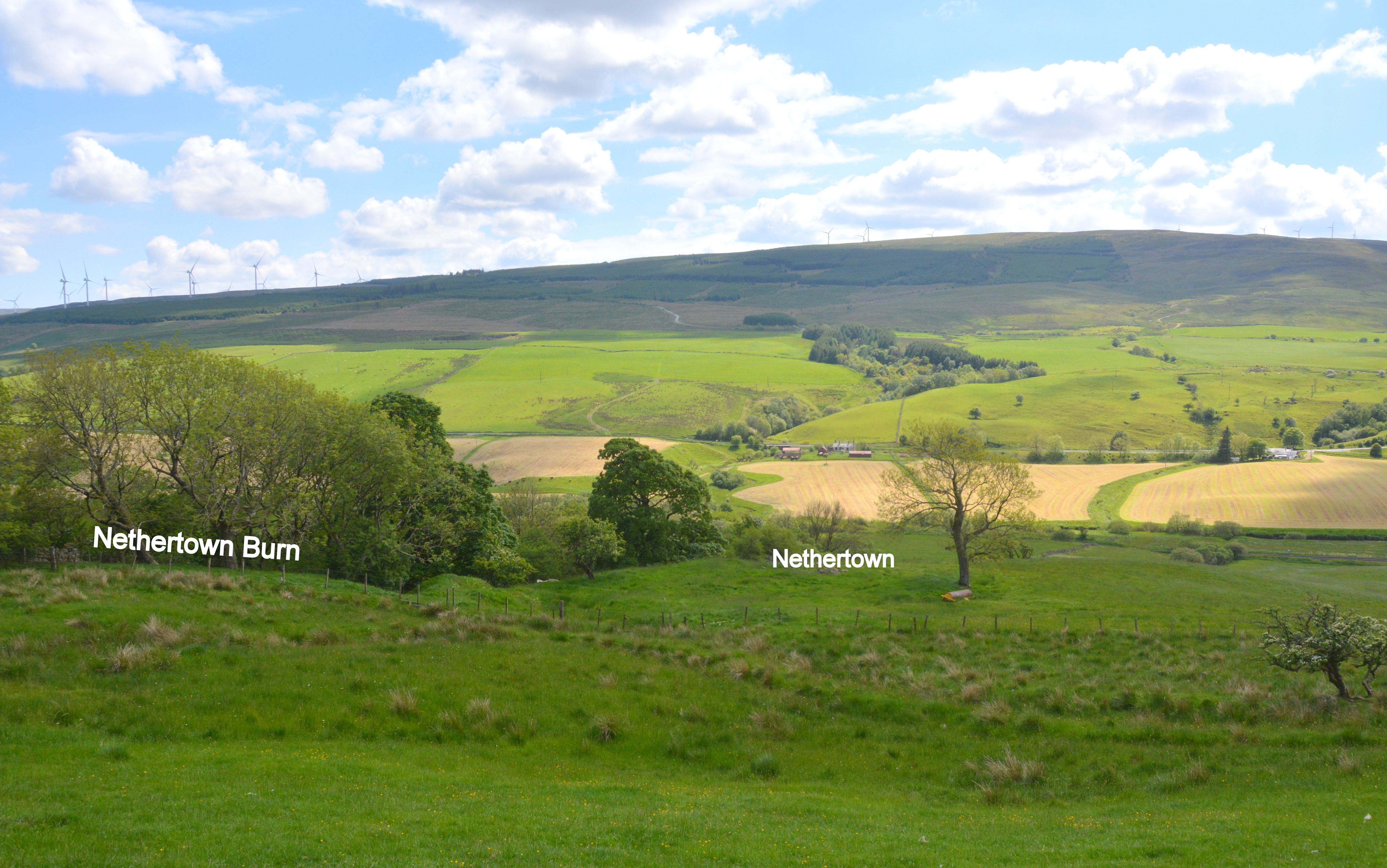 NETHERTOWN, NETHERTOWN BURN – NEW CUMNOCK HISTORY